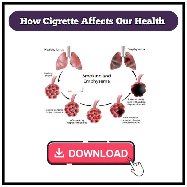 How cigarettes affect our health Project PDF » Knowledge Cycle