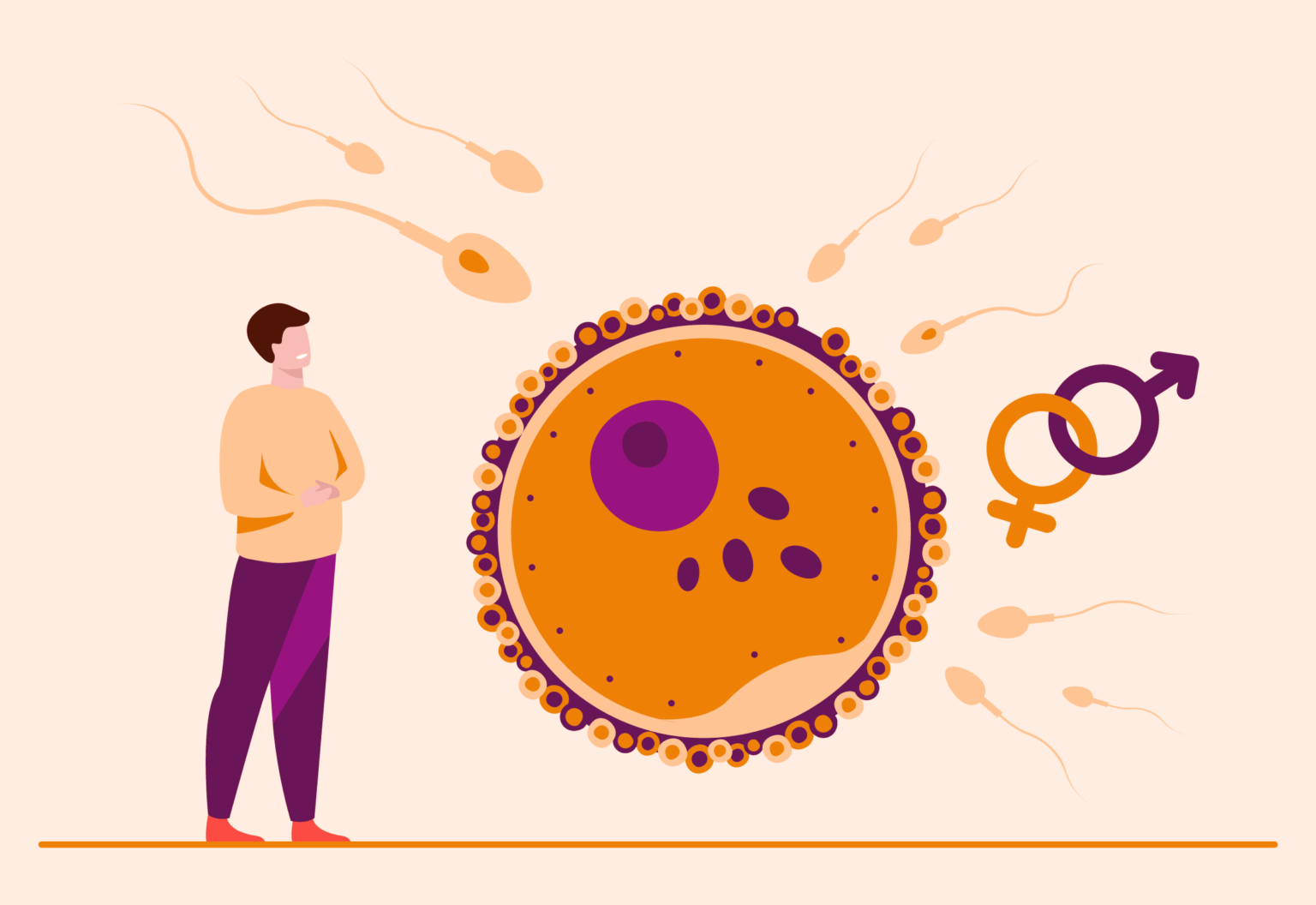 Infertility Biology Investigatory Project PDF class 12 » Knowledge Cycle