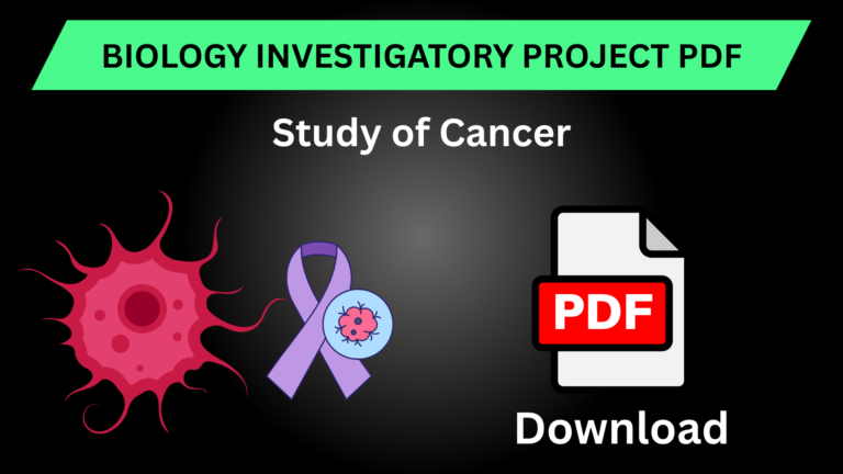 Knowledge Cycle » Home
