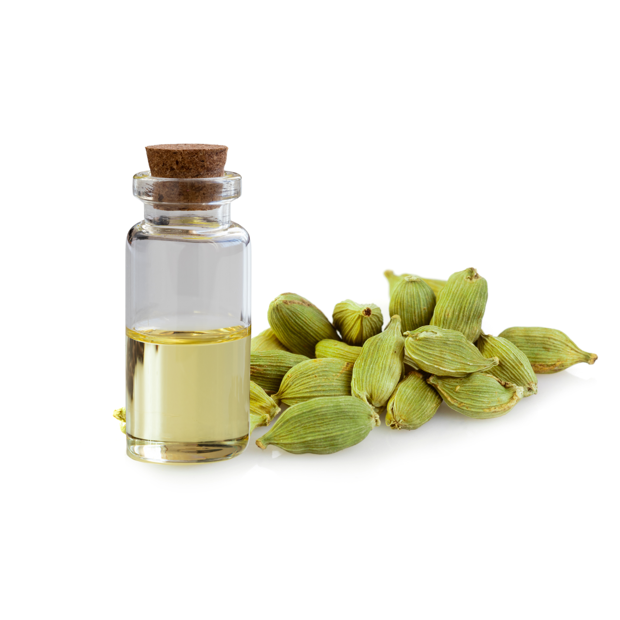 Extraction of essential oil present in Saunf Ajwain Elaichi ...